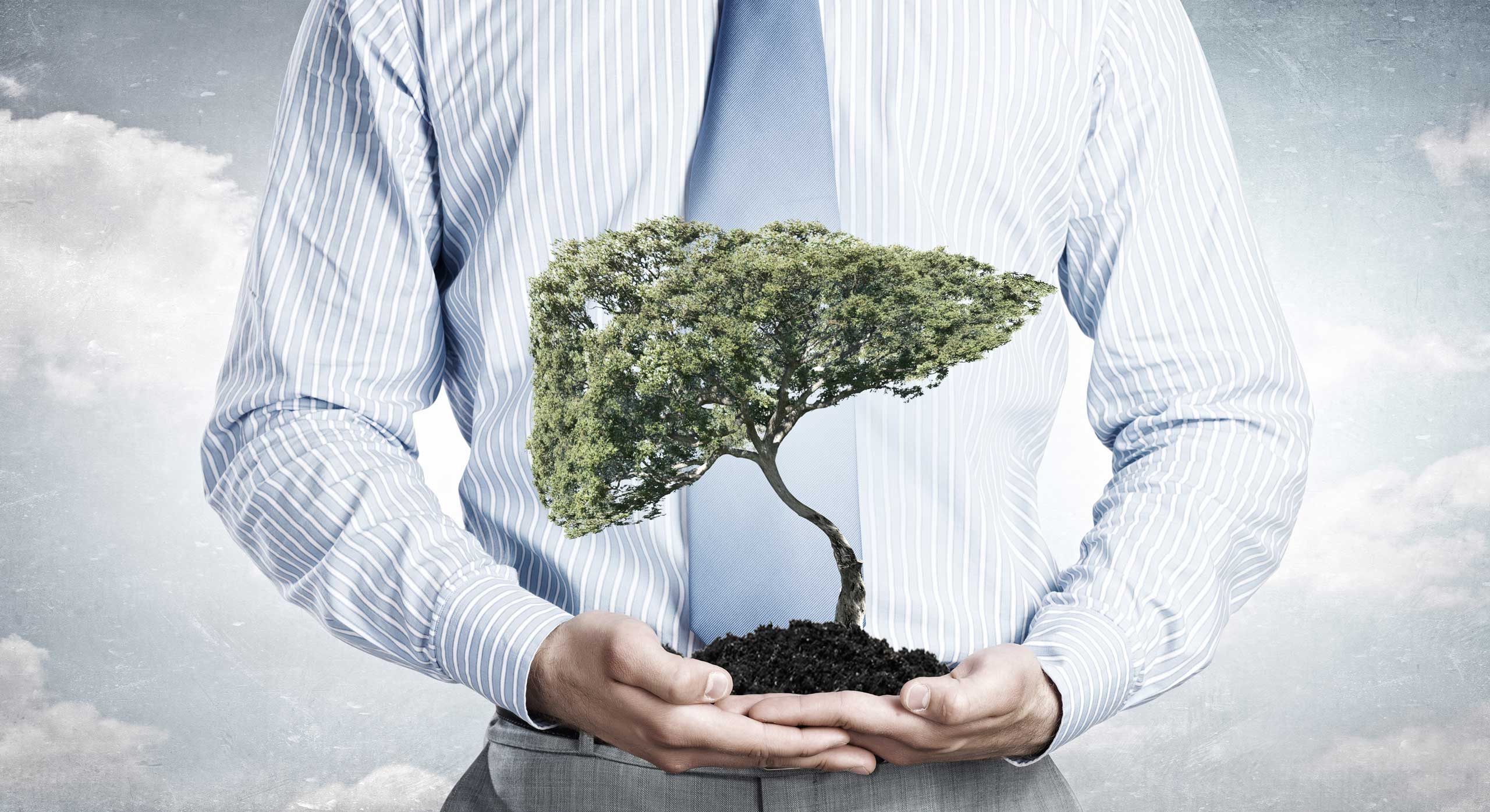 Creating internal health and 5 reasons to cleanse • Empowered Mastery